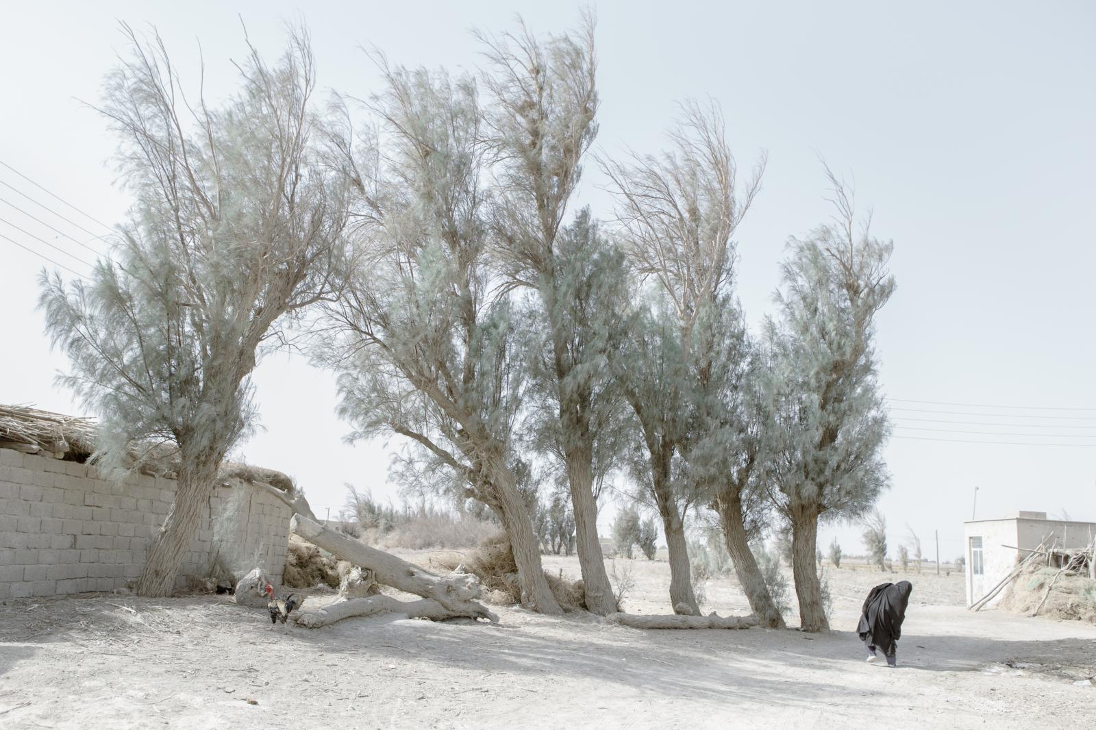 Iran-Hamun_Lake -WaterCrisis_IranClimateChange - Solmaz Daryani