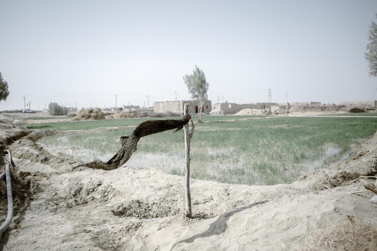 Iran-Hamun_Lake -WaterCrisis_IranClimateChange - Solmaz Daryani