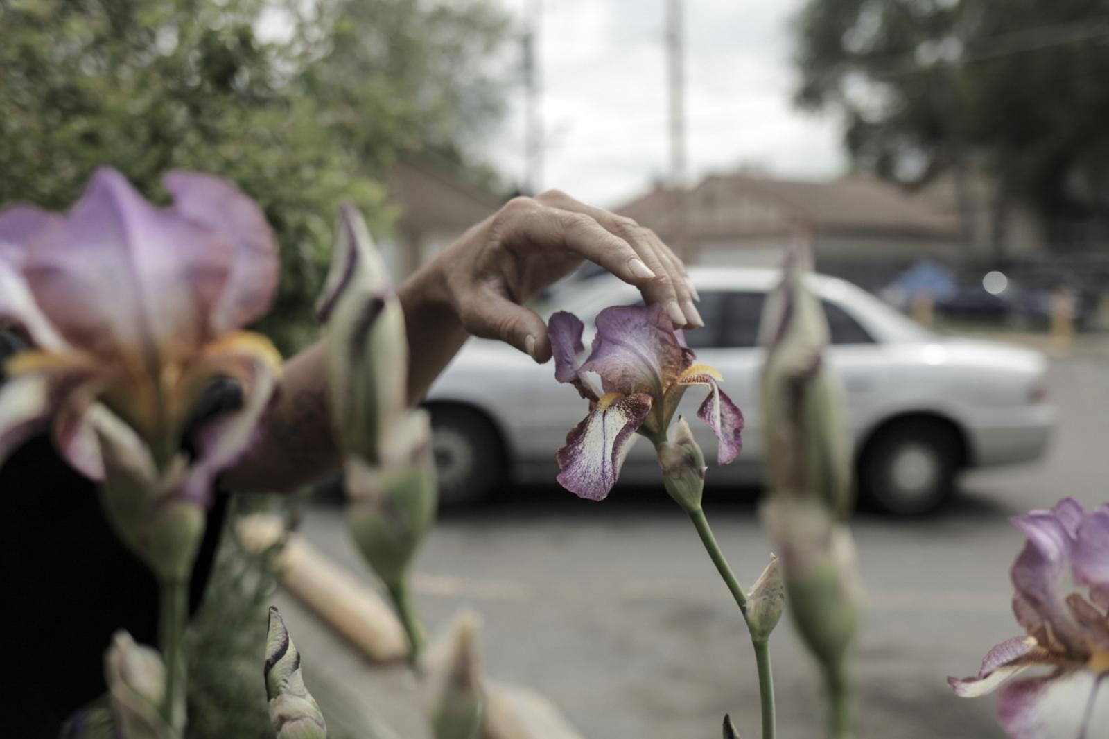 Javier Alvarez - Photographer