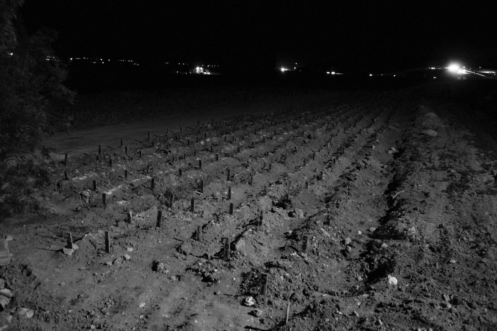 Death and Life Walk Side by Side - Sergei Stroitelev, photographer
