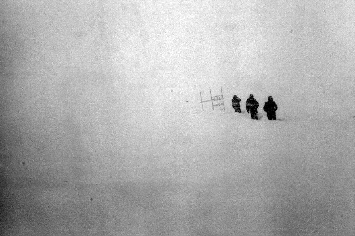 Sarah Jabbari | Stories