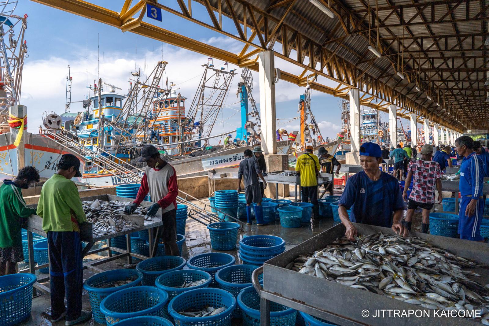 Ship to Shore - JITTRAPON KAICOME | Photojournalist | Thailand