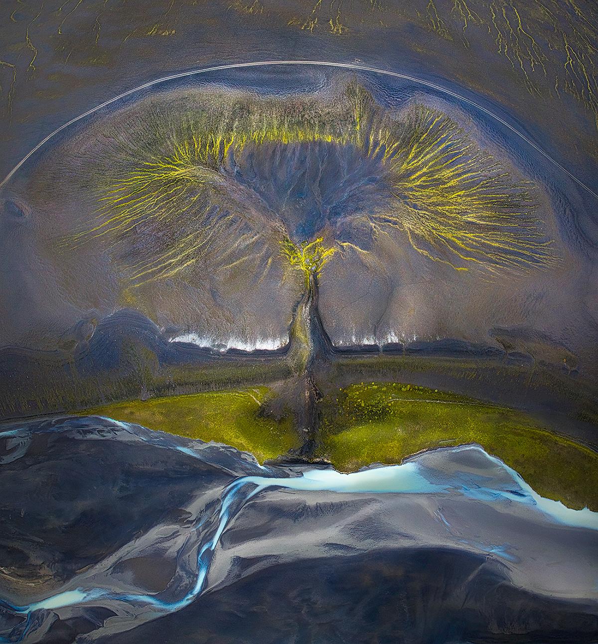 AAP Magazine #54: Nature — 25 Photographers Redefining How We See the ...