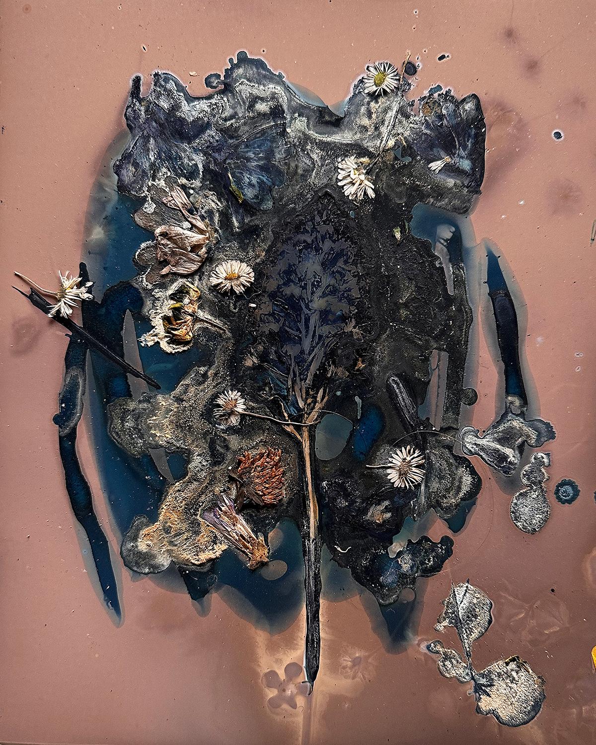 AAP Magazine #54: Nature — 25 Photographers Redefining How We See the ...