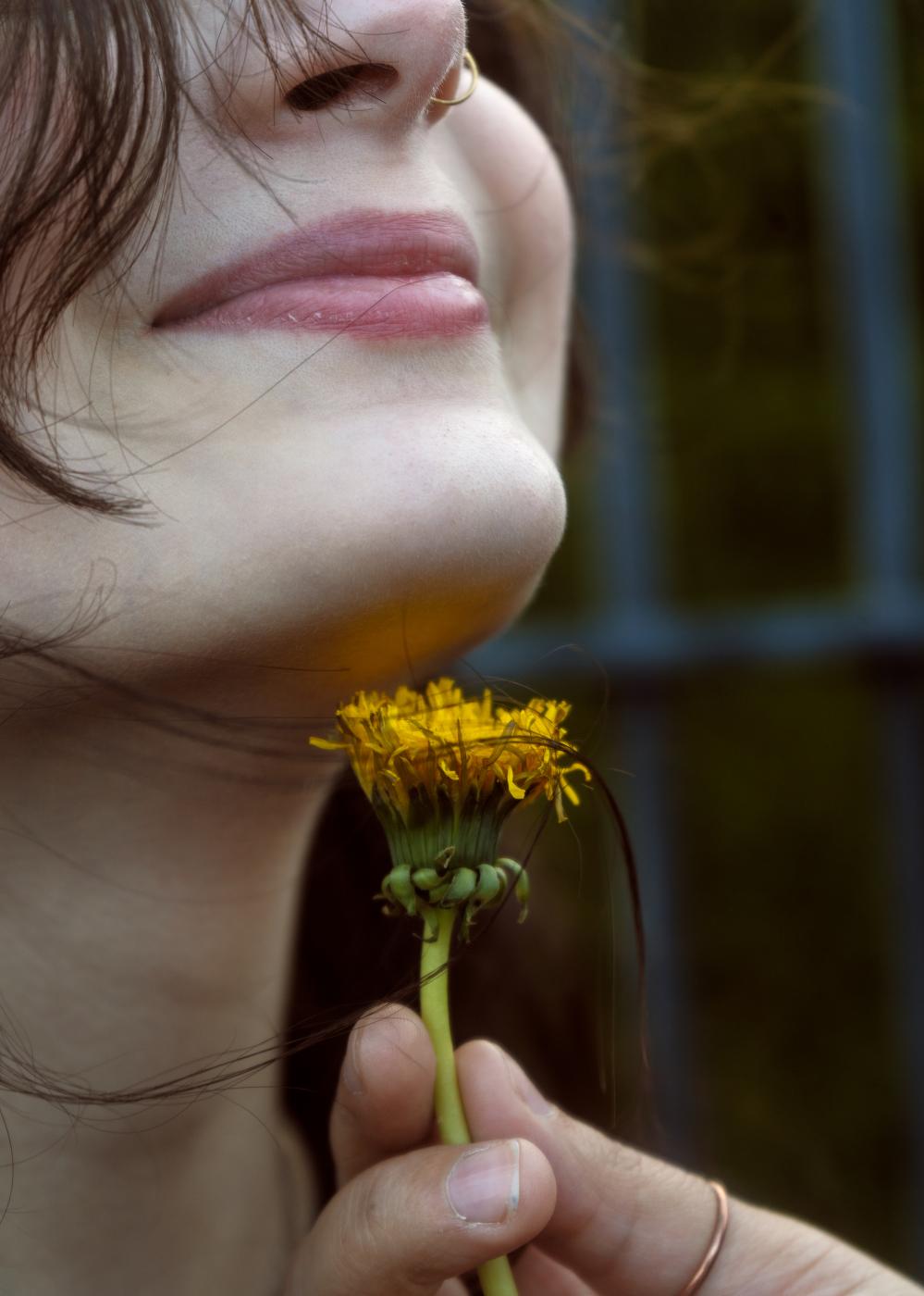 Recent Work - Adam Leitzel