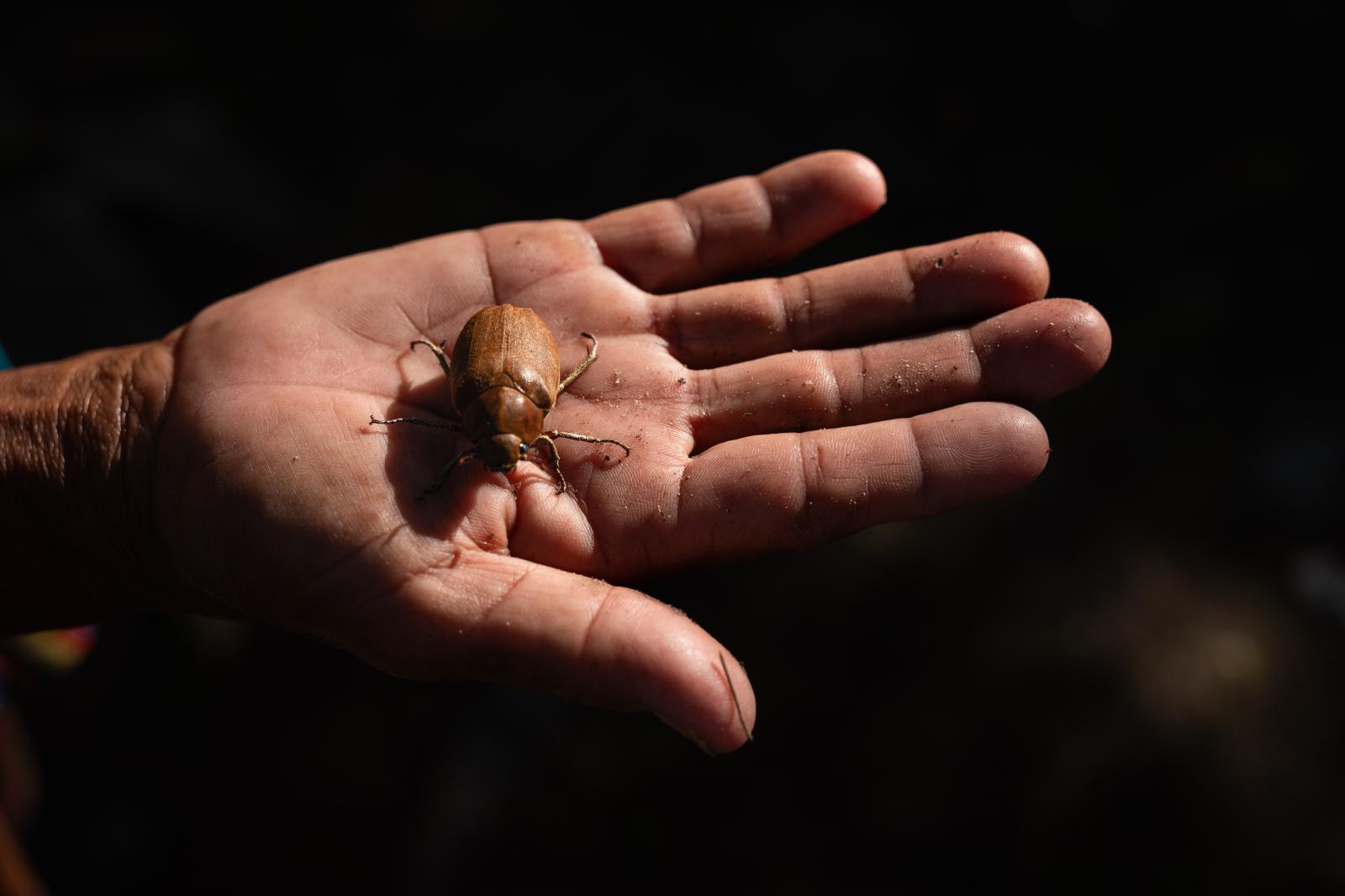 The Unseen Weave by Athikhom Saengchai