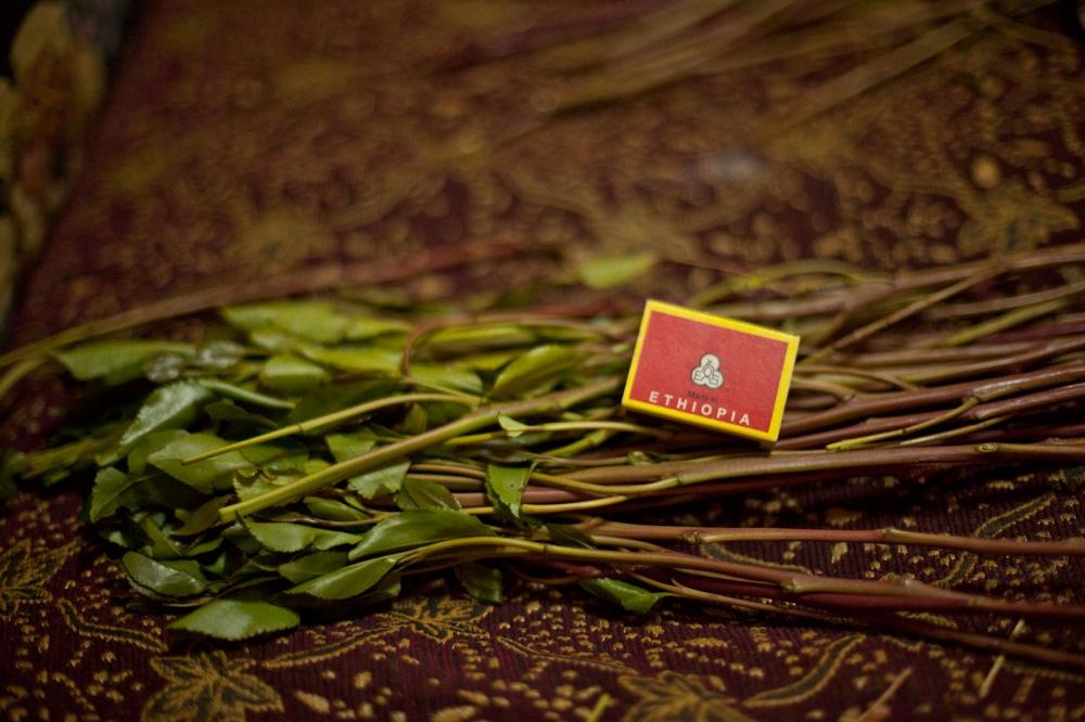 Khat in Ethiopia by Paul Patrick Borhaug