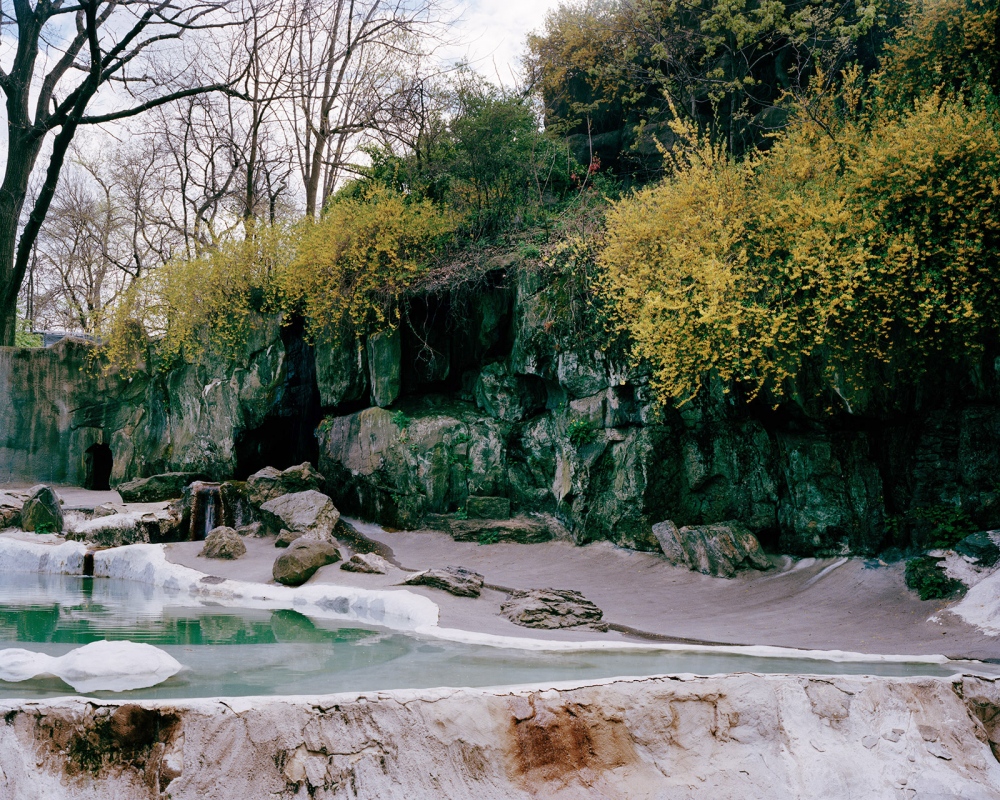 A Different Nature - Phil Jung Photography