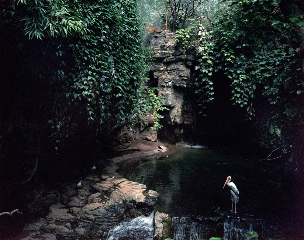 A Different Nature - Phil Jung Photography