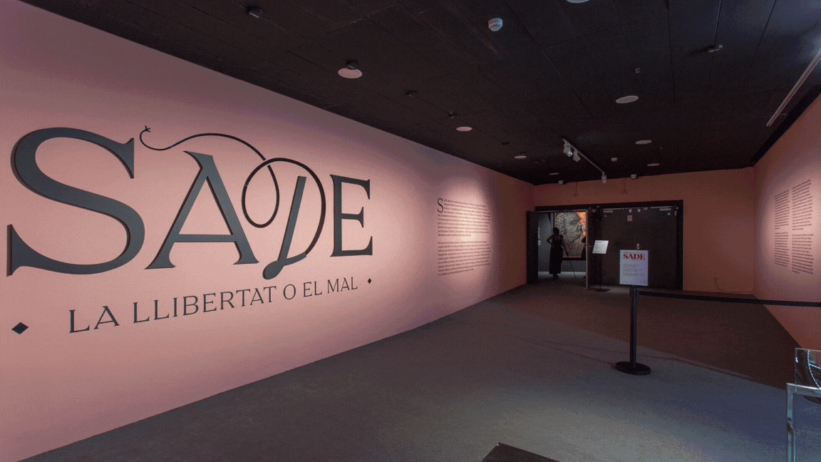 Work On View - Susan Meiselas