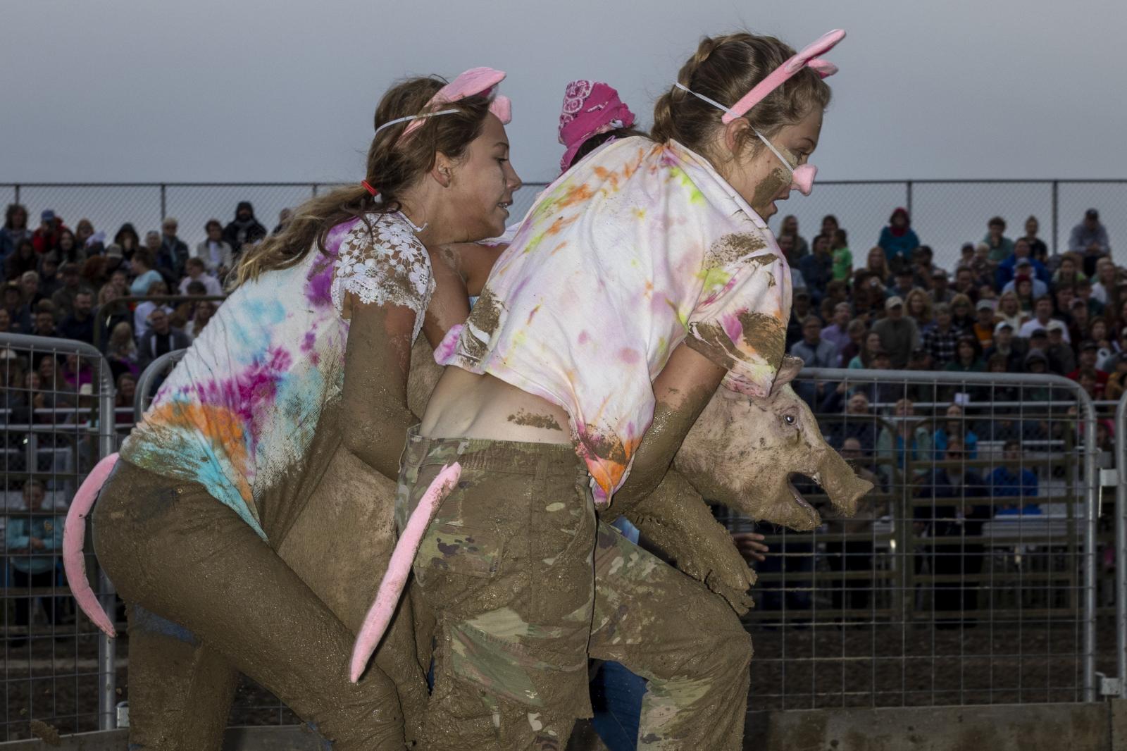 Pig Wrestling at Idaho County Fair by natalie behring