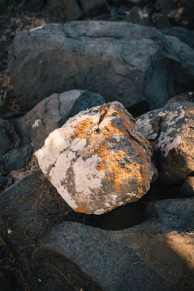 Rural youth - M'hammed Kilito