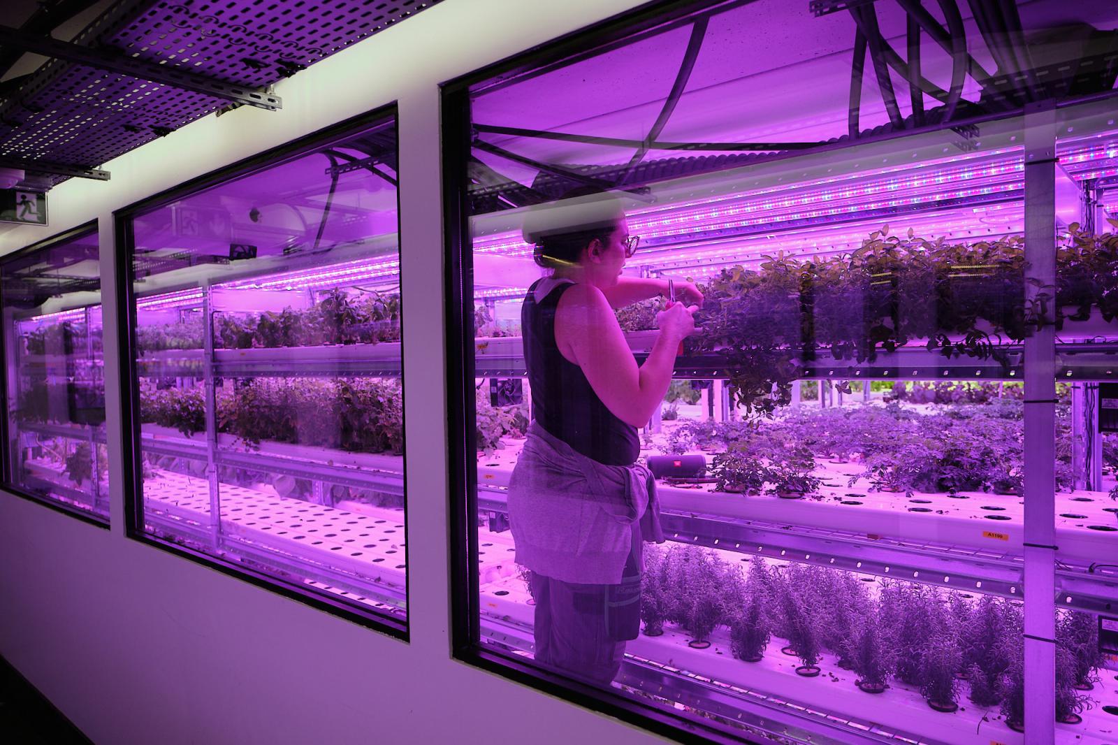 STORIES - Remon Haazen photographer