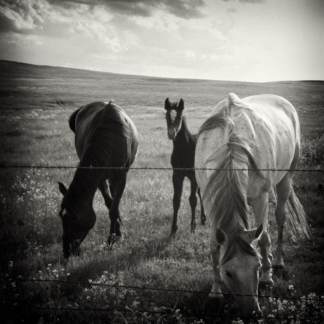 Republic of Lakotah - Hector Emanuel Documentary Photographer