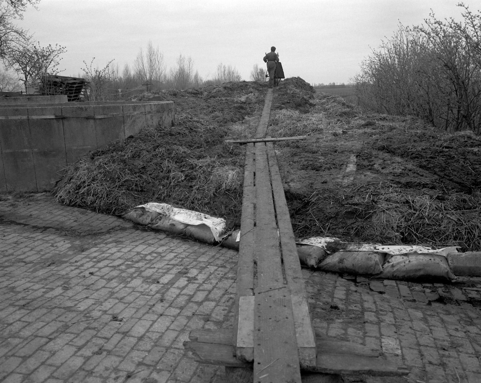 The Final Days of a Dairy Farm by Ellen Kok