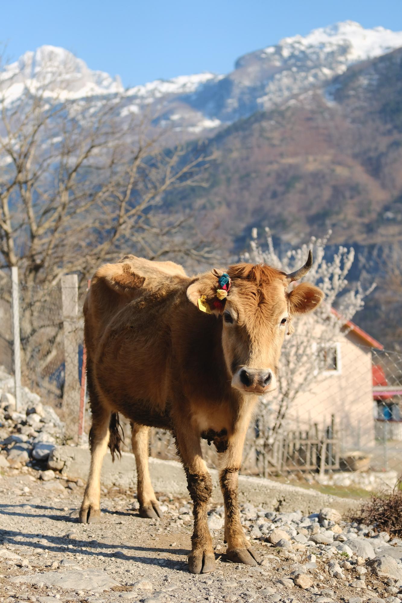 Documentary and Travel Photography from the Balkans - Nick St.Oegger ...