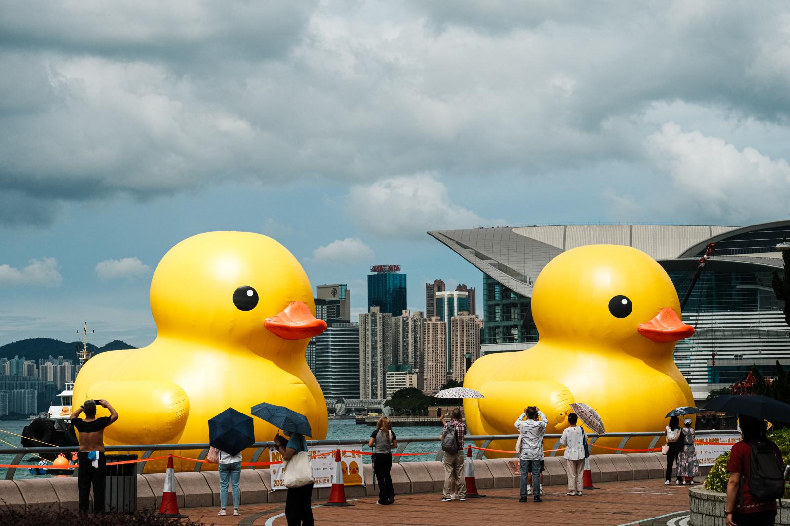 Rubber Ducks are back in Hong Kong by Keith Tsuji