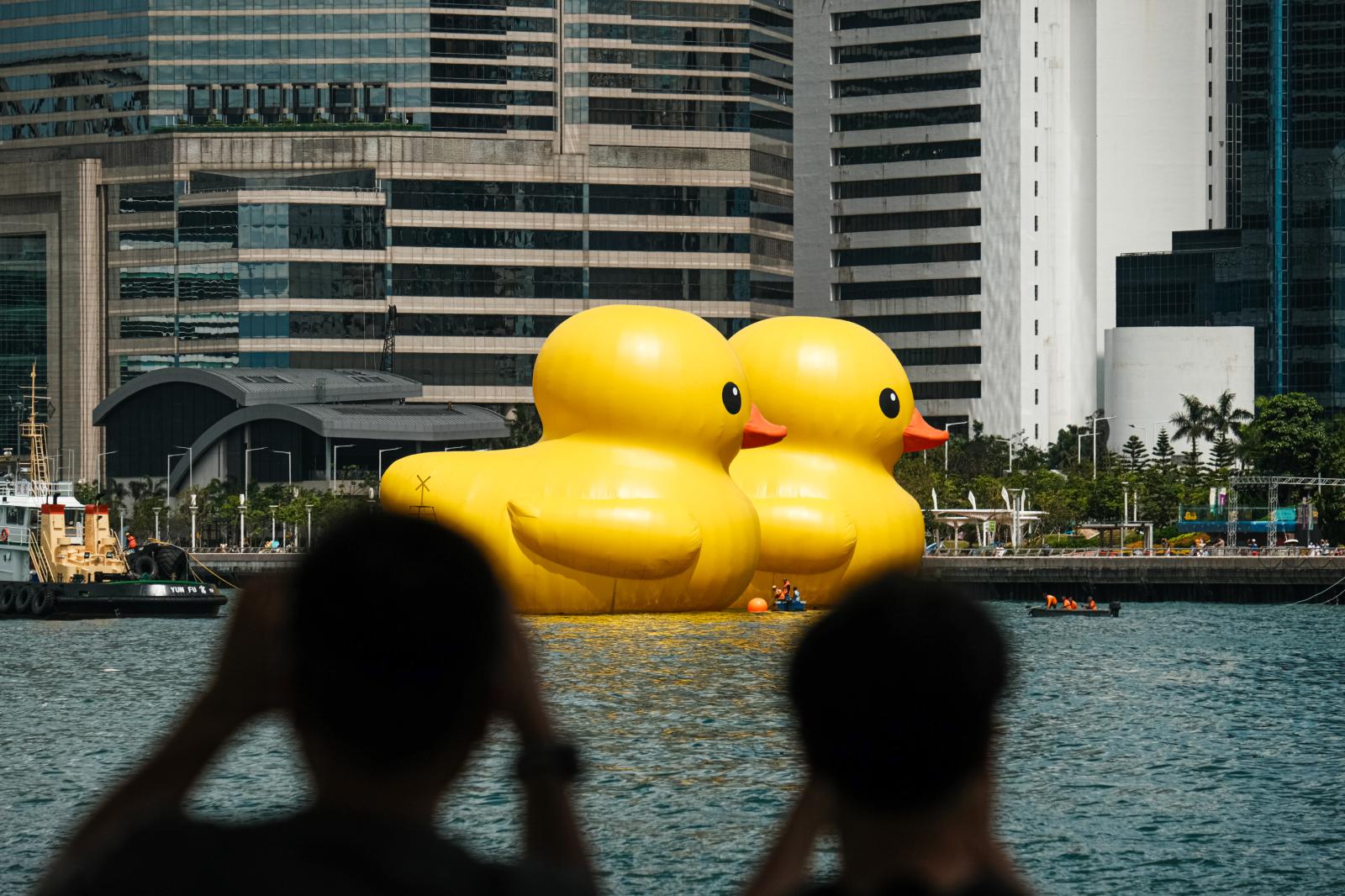 Rubber Ducks are back in Hong Kong by Keith Tsuji