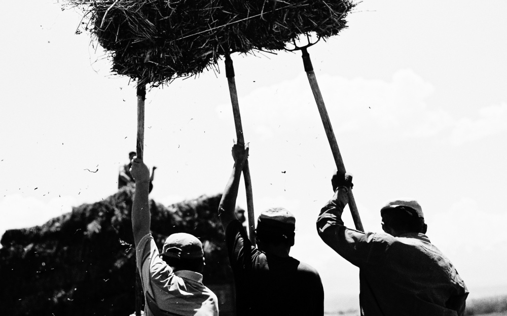 Louis Baudoin | Stories