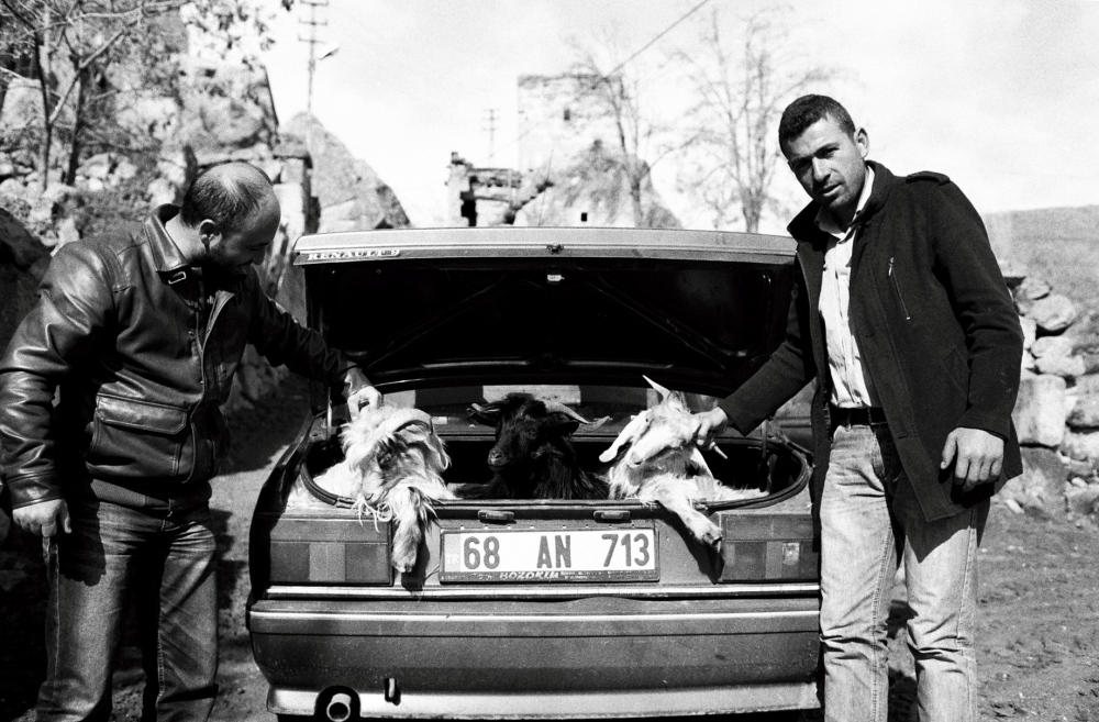 Salonu faces by Louis Baudoin