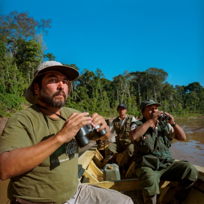 The Mascho Piro - The New Yorker - Aaron Vincent Elkaim