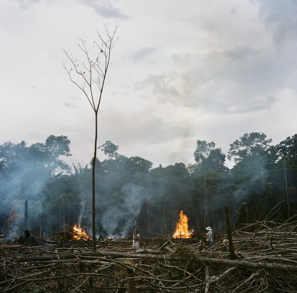 The Mascho Piro - The New Yorker - Aaron Vincent Elkaim