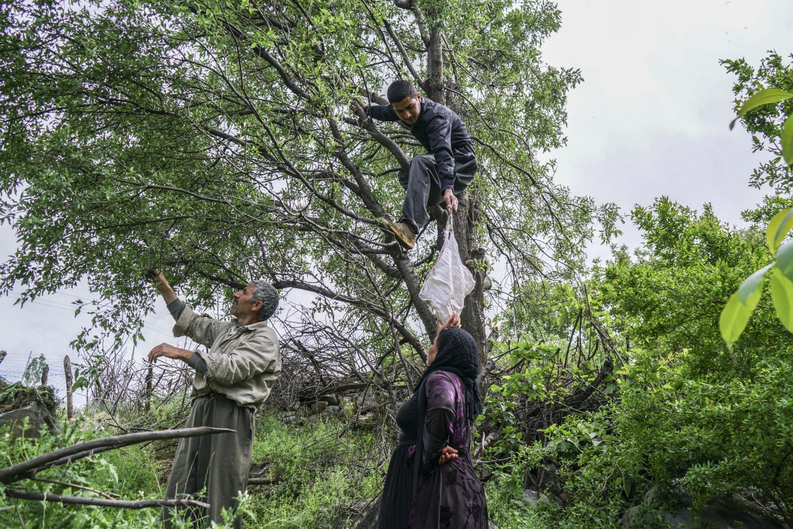 My photos exhibited from the Changing Asia Photography Book Project run ...