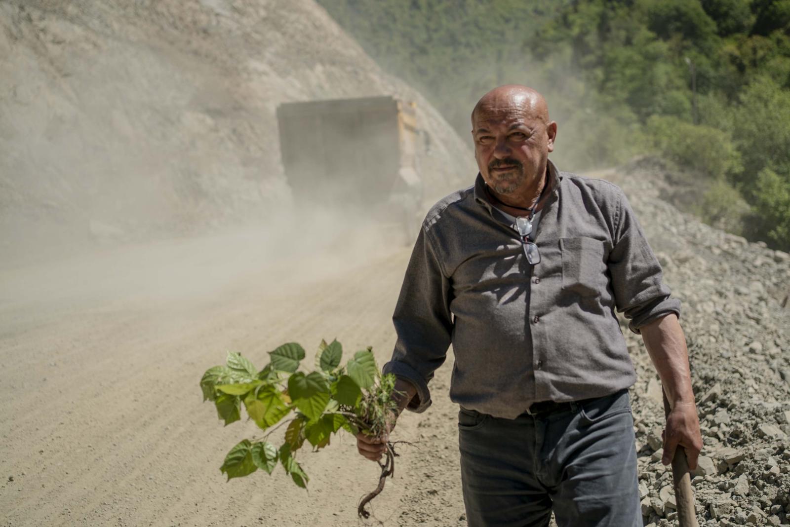 Les arbres de la résistance - Cerise Sudry-Le Dû