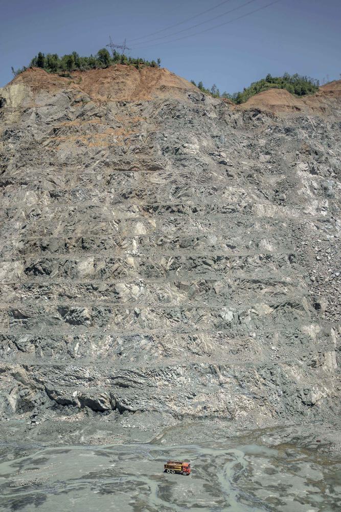 Les arbres de la résistance - Cerise Sudry-Le Dû