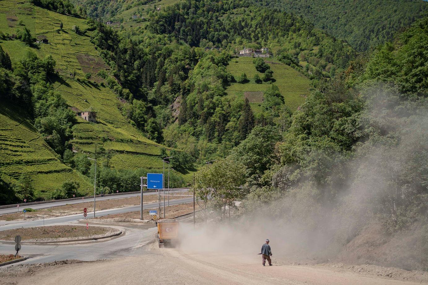 Les arbres de la résistance - Cerise Sudry-Le Dû