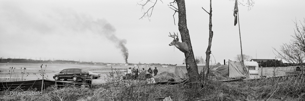 Peter Sibbald | Stories