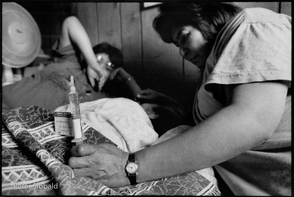 Return to Nitassinan by Peter Sibbald