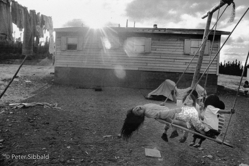 Return to Nitassinan by Peter Sibbald