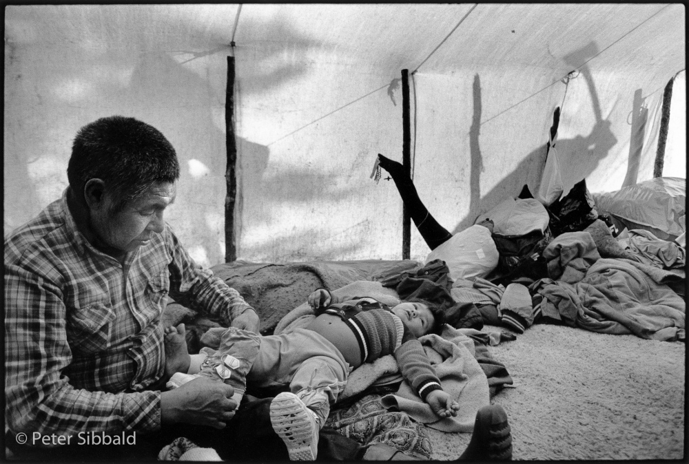 Return to Nitassinan by Peter Sibbald