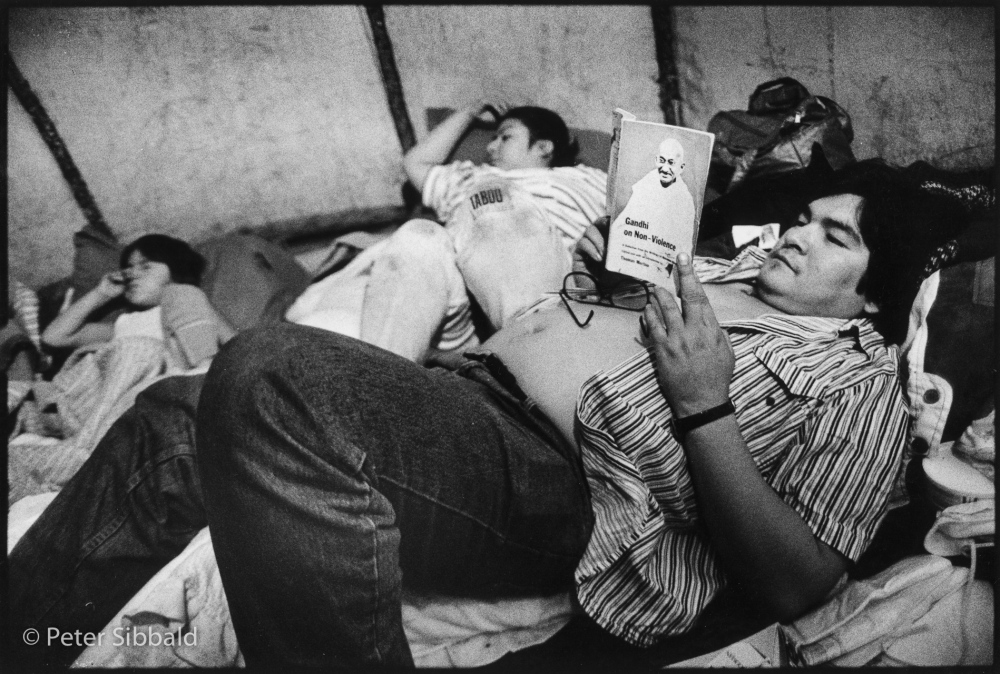 Return to Nitassinan by Peter Sibbald