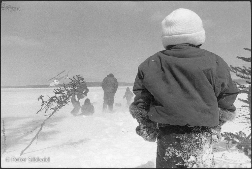 Return to Nitassinan by Peter Sibbald