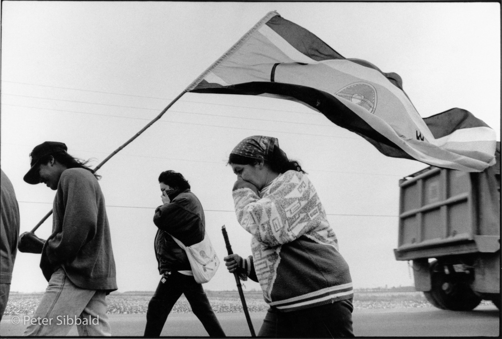 Return to Nitassinan by Peter Sibbald