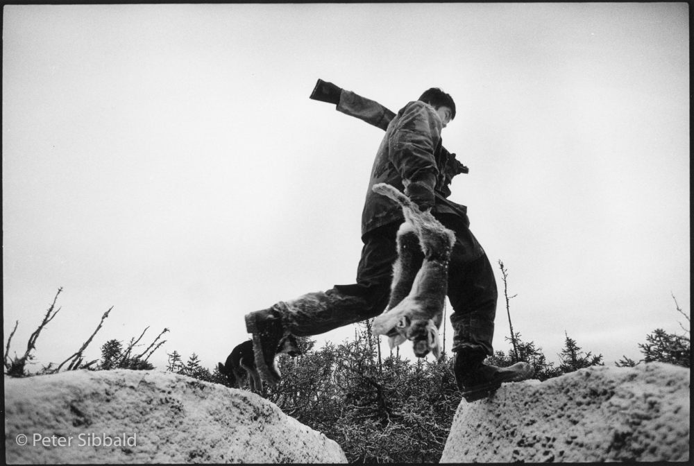 Return to Nitassinan by Peter Sibbald