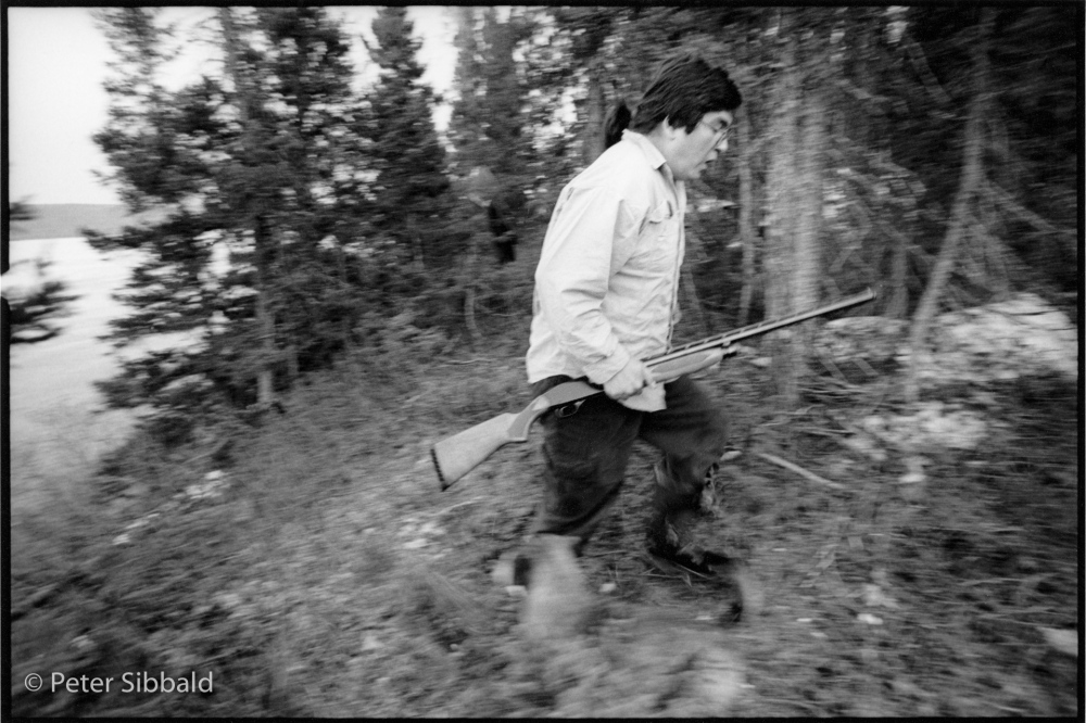 Return to Nitassinan by Peter Sibbald