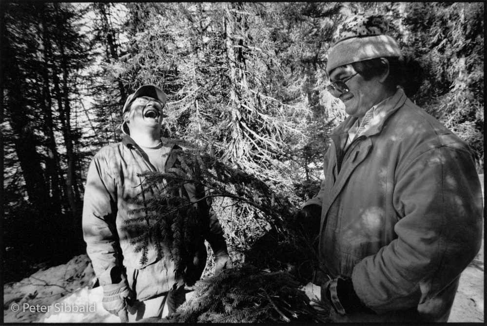 Return to Nitassinan by Peter Sibbald