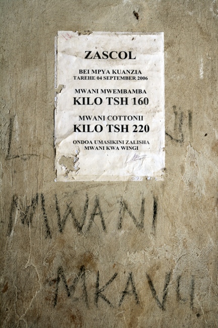 Ocean Farmers by David Rengel