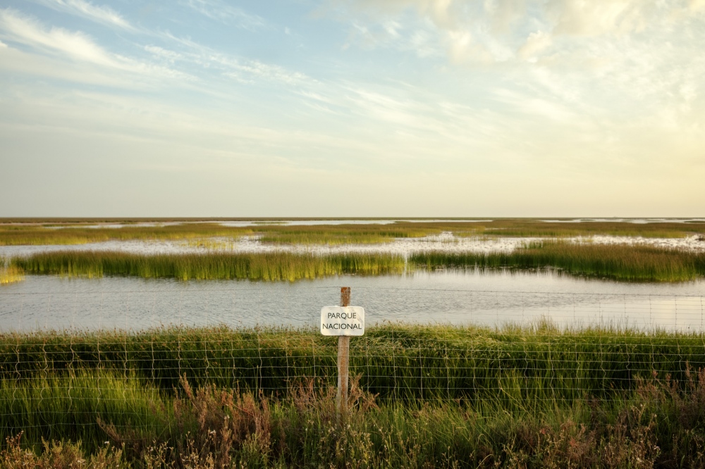 La Saca de la Yegua by David Rengel