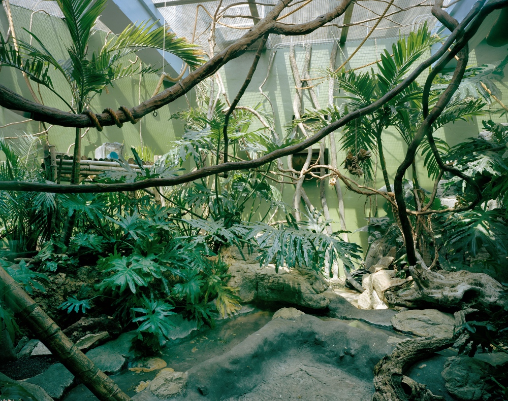 A Different Nature - Phil Jung Photography