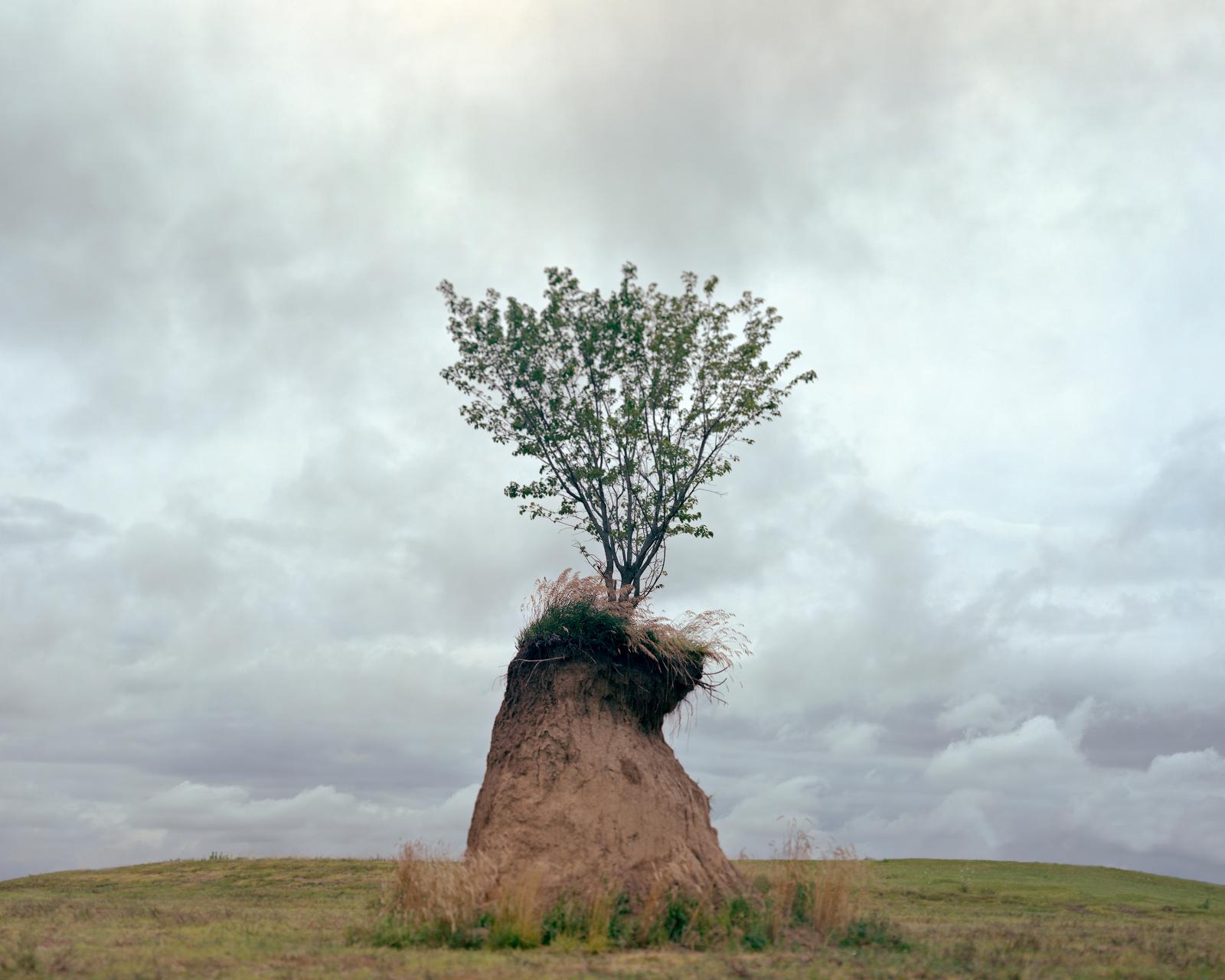 Borderland - Marshall Scheuttle