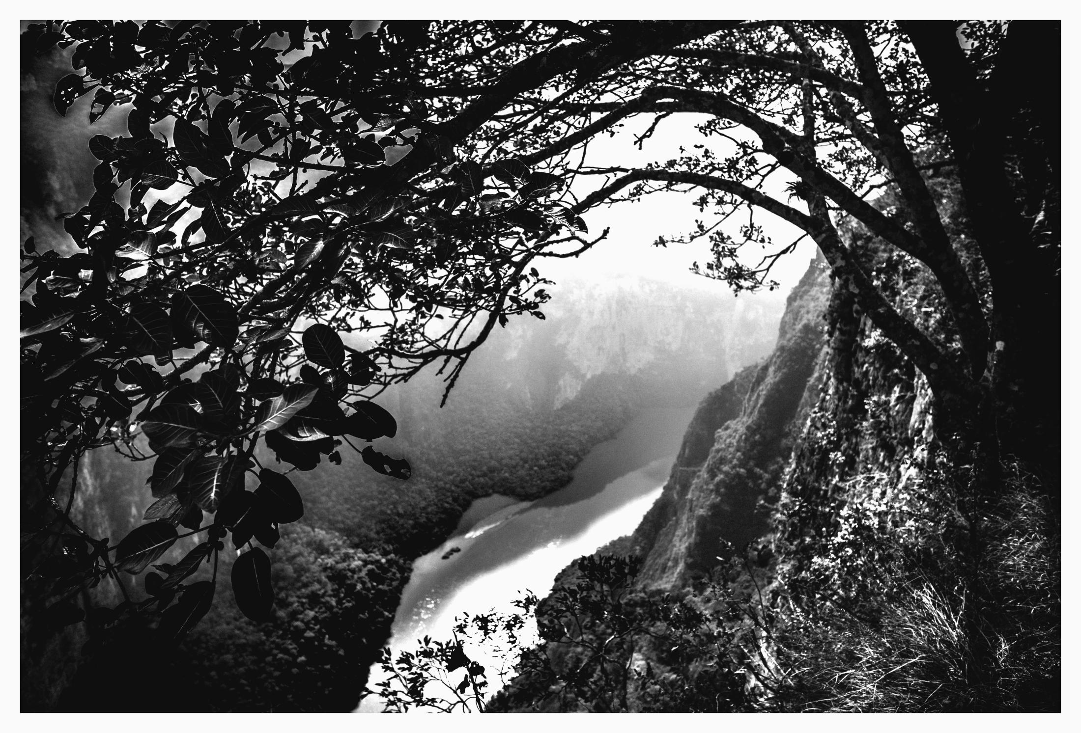 The Distance Between Mountains and Memory by Cory Zimmerman