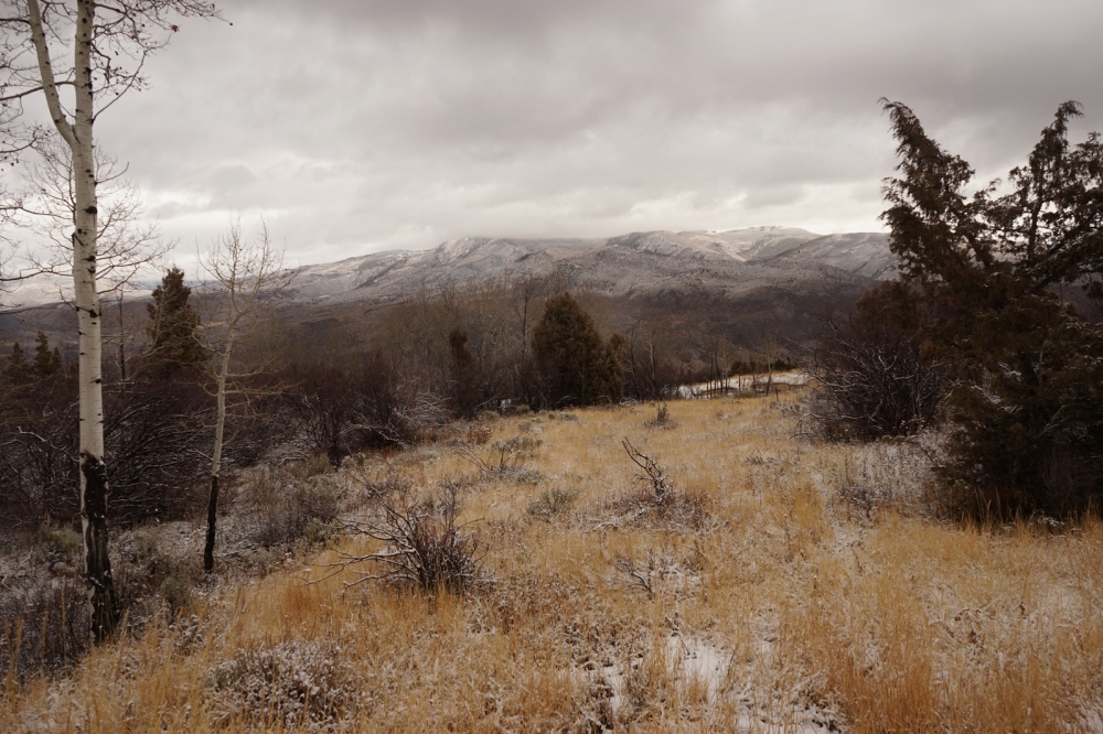November in Vail, Colorado 2016 Â©Sylvia DeSwaan by Sylvia de Swaan