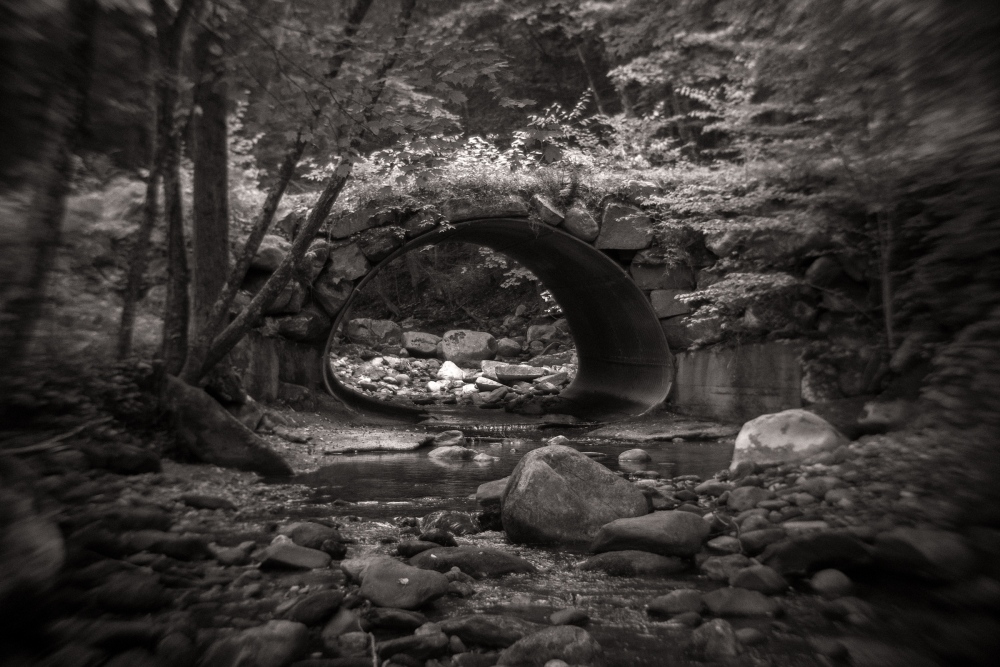 The Cabin by Andrew Hogan