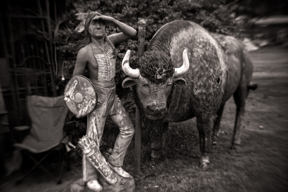 The Cabin by Andrew Hogan