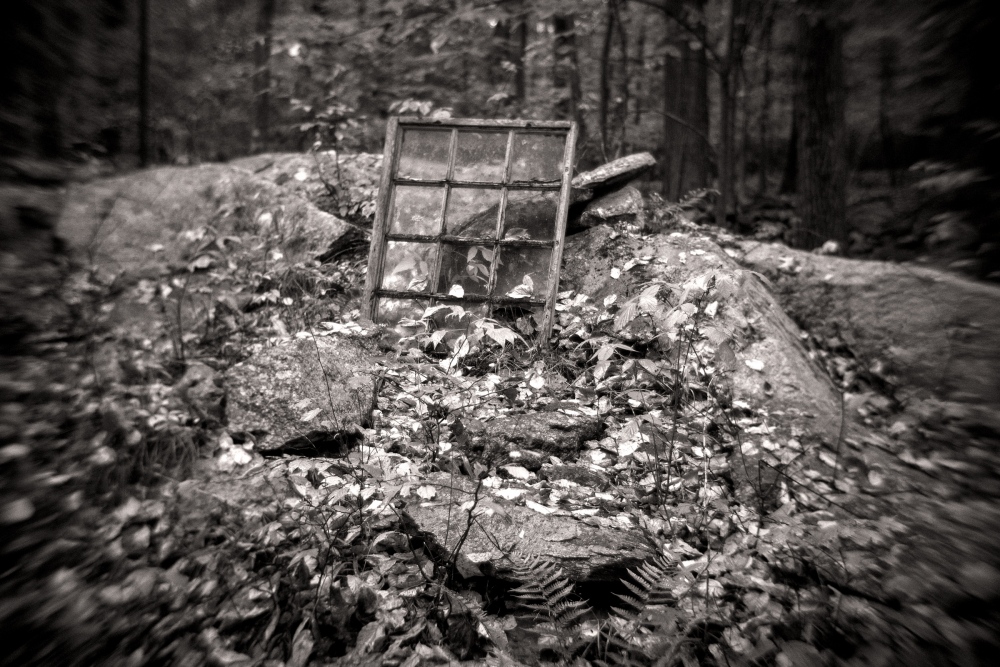 The Cabin by Andrew Hogan