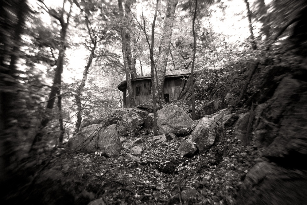 The Cabin by Andrew Hogan